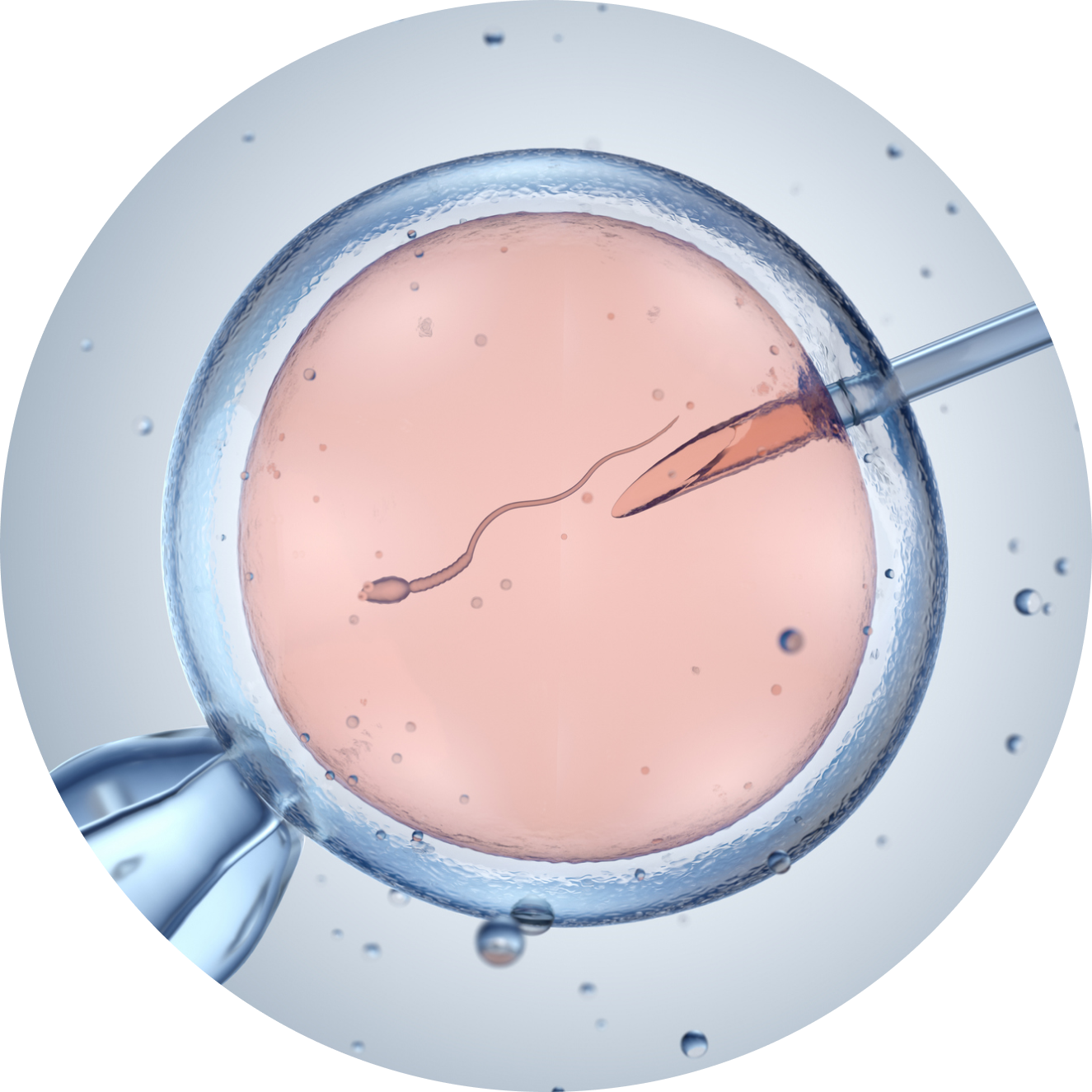 Using Your Eggs - Egg Freezing Melbourne